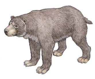 ヘミキオン・川崎悟司イラスト集